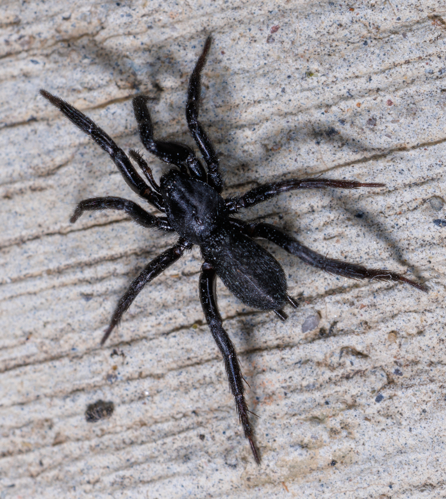 Zelotes from Park Office on January 27, 2023 at 05:12 PM by Tony ...