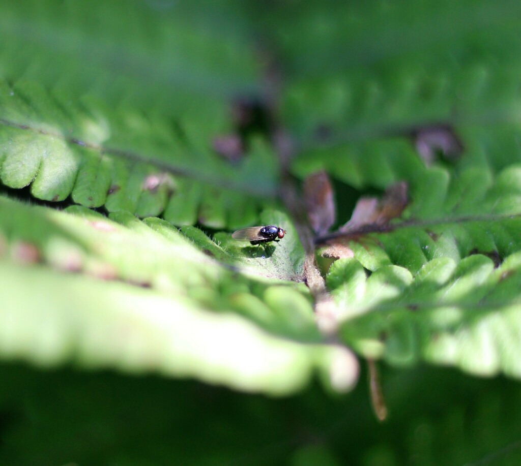 Flies from Wesley Chapel, FL, USA on January 31, 2023 at 10:20 AM by ...