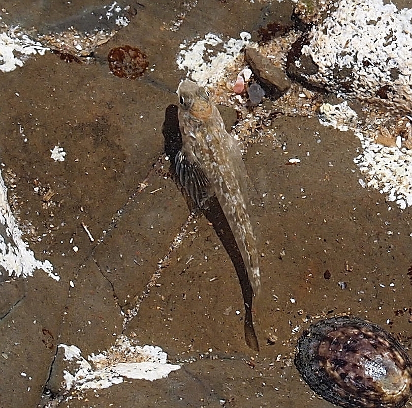 Twister from Papatowai 9586, New Zealand on February 4, 2023 at 12:38 ...
