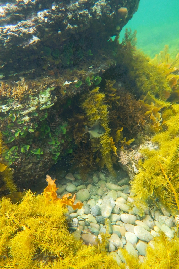 Sea Sweep from Myponga Beach Rock Formations on February 08, 2023 at 02 ...