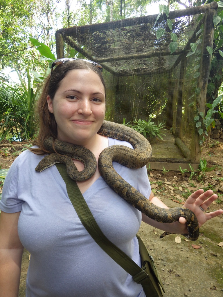 Bibron's Bevel-nosed Boa from Serua, Fiji on May 12, 2018 at 09:48 PM ...