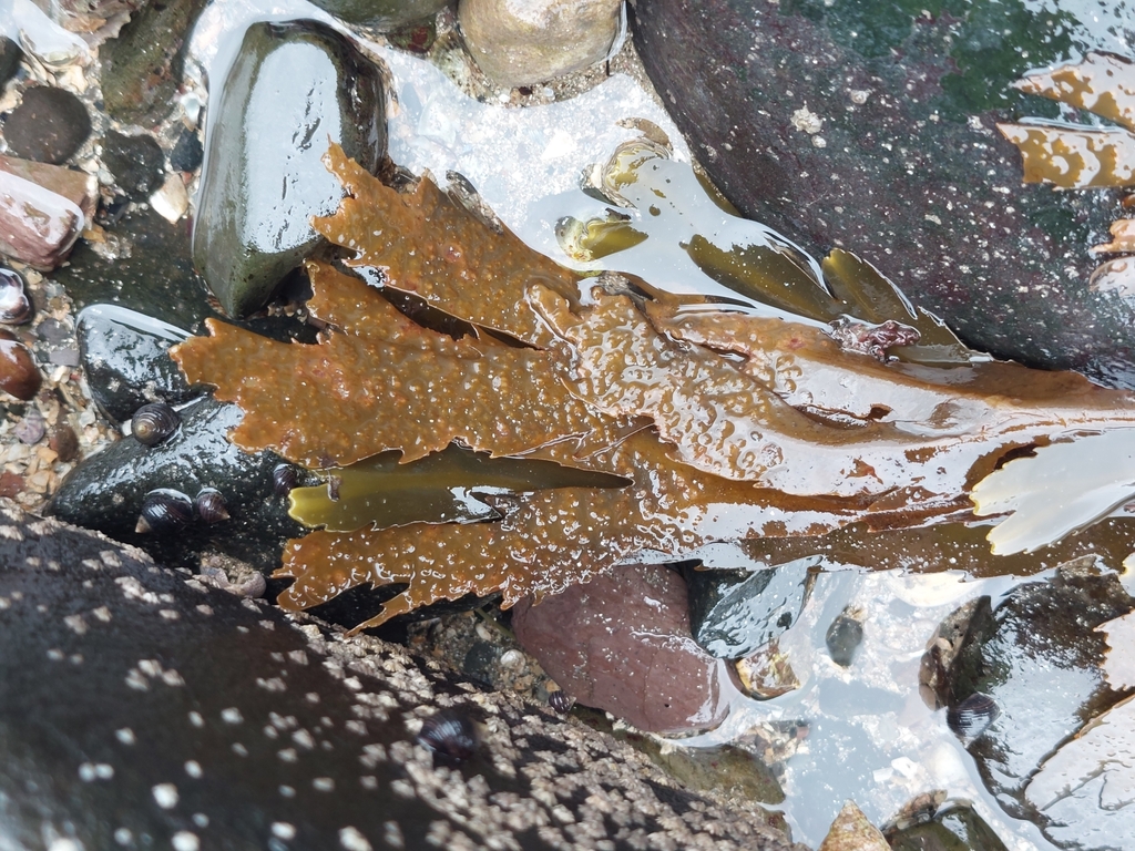 Saw Wrack from United Kingdom on February 16, 2023 at 12:29 PM by ...