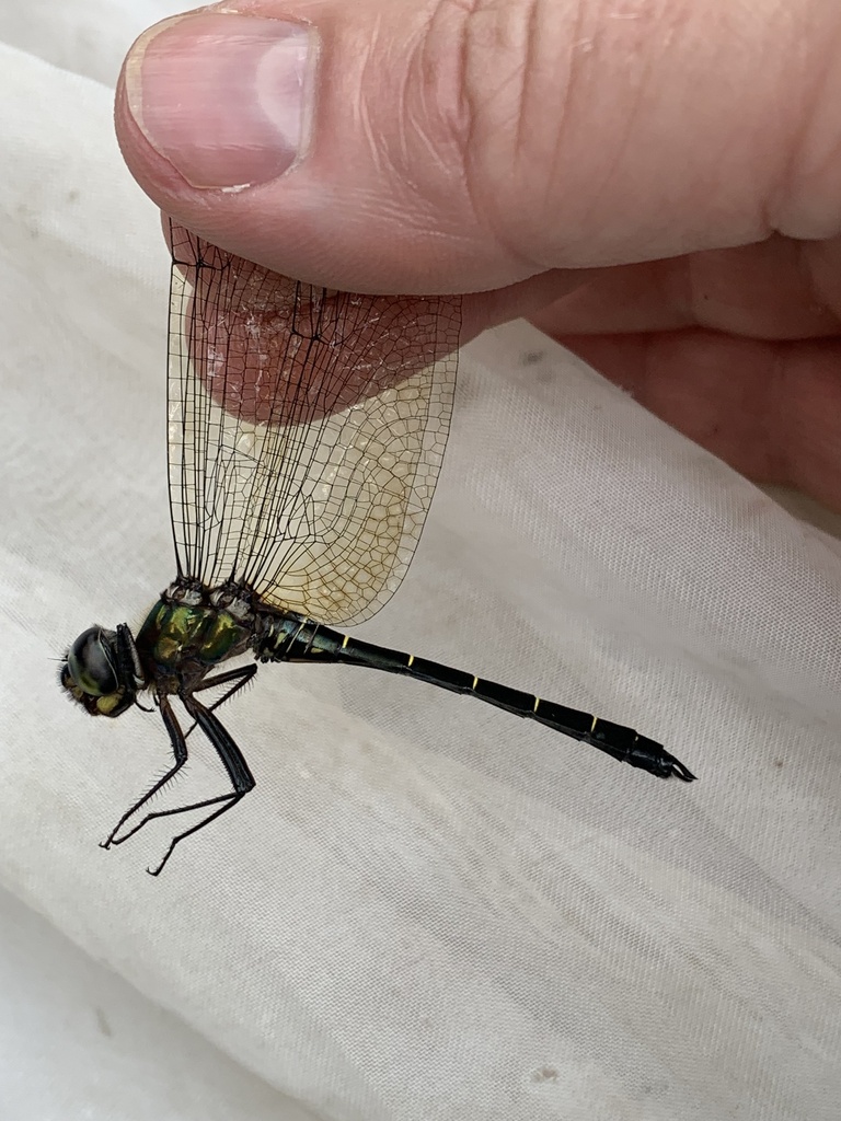 Cascaders from Bali, Kabupaten Buleleng, Bali, ID on February 22, 2023 ...