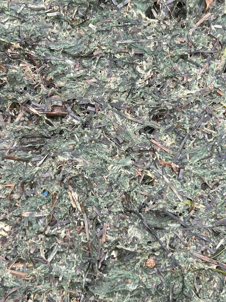 Okeania from Oneroa, Auckland, New Zealand on February 23, 2023 at 01: ...