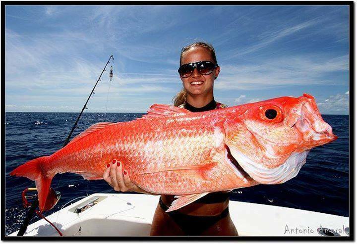 Queen Snapper on August 5, 2015 at 09:52 PM by Antonio Amaral · iNaturalist