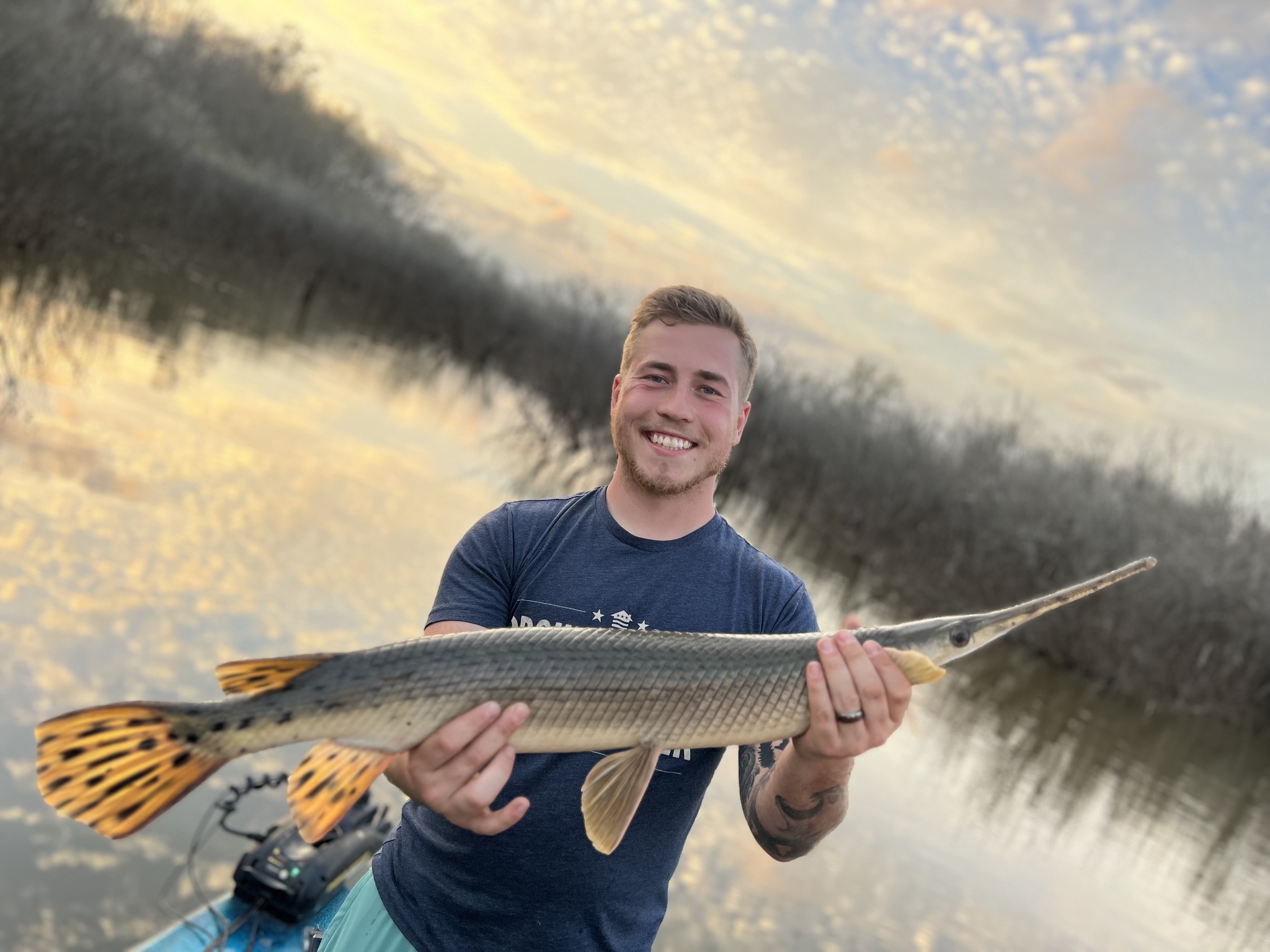 Lepisosteus osseus (Linnaeus, 1758)