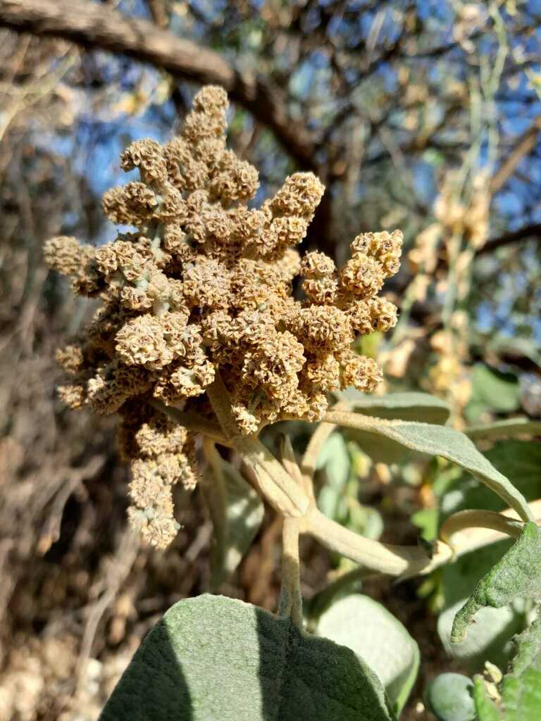 tepozan from C.U., Ciudad de México, CDMX, México on February 24, 2023 ...