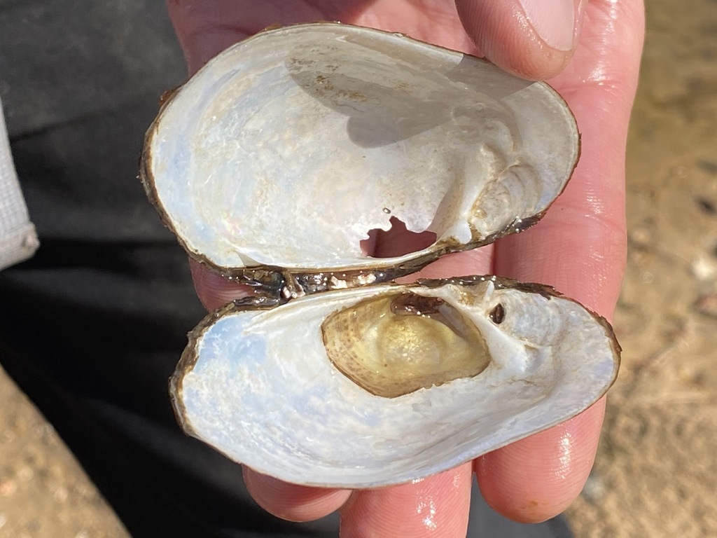 Fatmucket from Brown County, IN, USA on February 28, 2023 at 02:56 PM ...