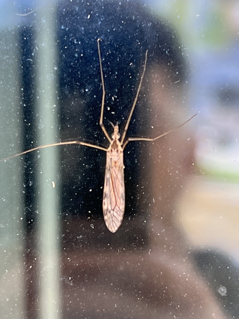 Flies from S Heatherwilde Blvd, Austin, TX, US on March 3, 2023 at 09: ...