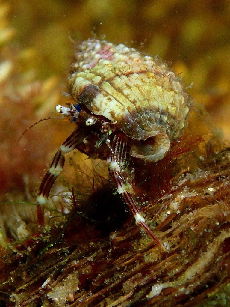 Something from Bass Strait, Frankston, VIC, AU on March 06, 2023 at 08: ...