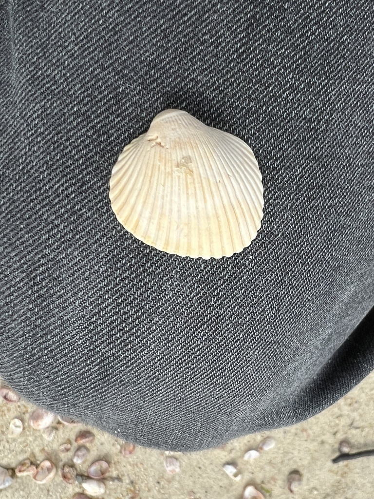 Blood Ark from Barnstable, MA, USA on March 5, 2023 at 12:33 PM by ...