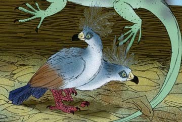 (Natunaornis) - Avian Discovery