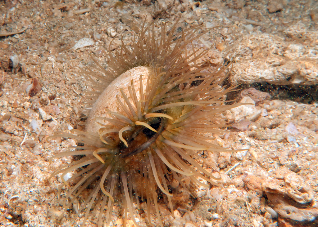 Lima from Exmouth Gulf, WA, Australia on February 15, 2022 at 01:56 PM ...