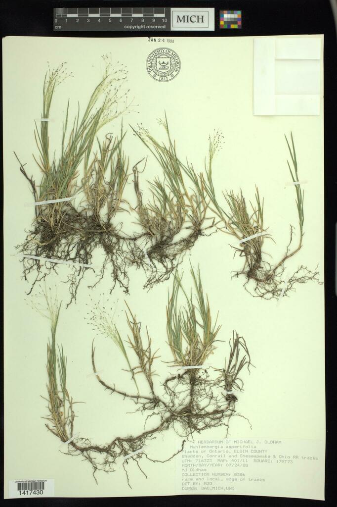 scratch grass from Canada, Ontario, ELGIN County, Shedden, Conrail and ...