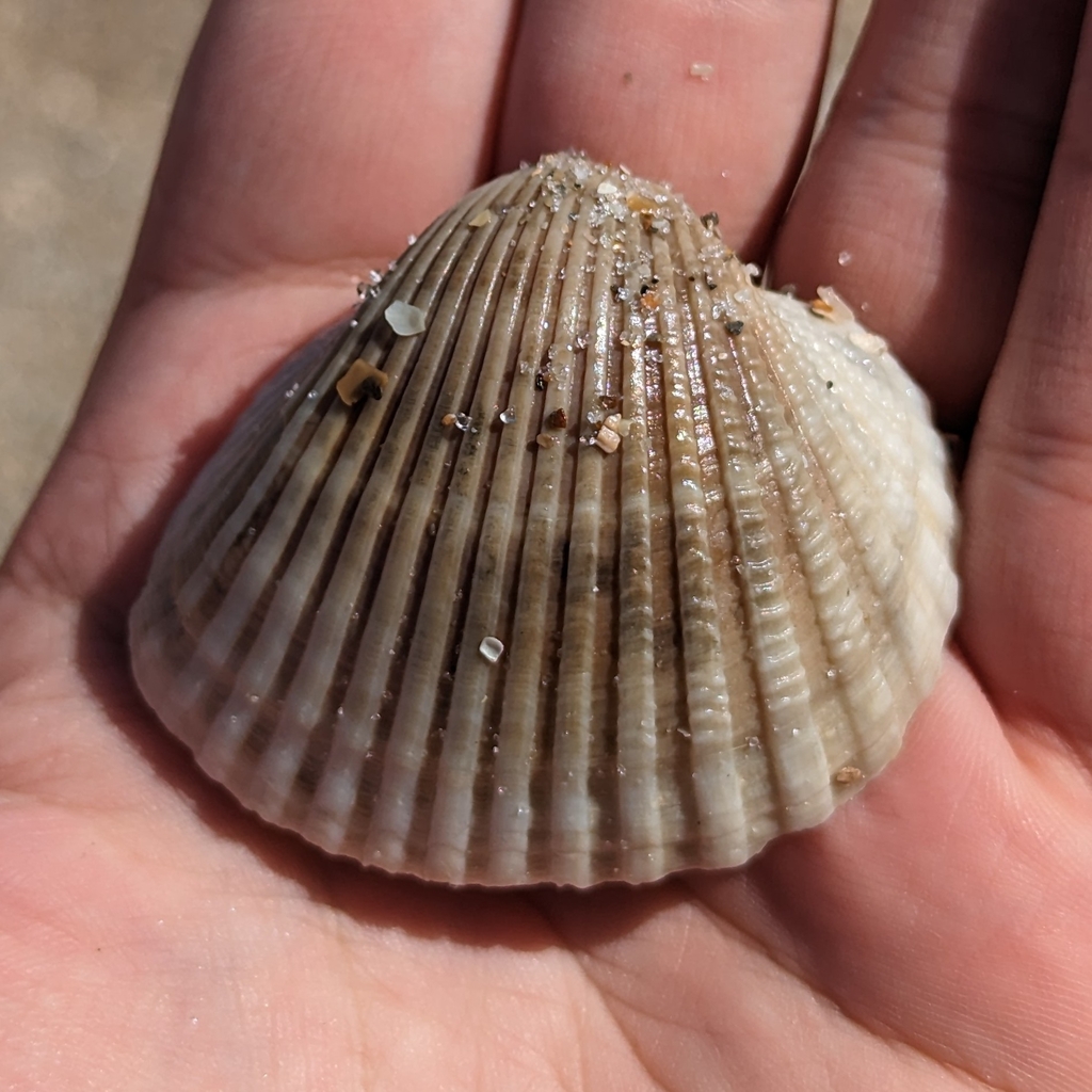 Incongruous Ark from Brevard County, FL, USA on March 11, 2023 at 10:56 ...