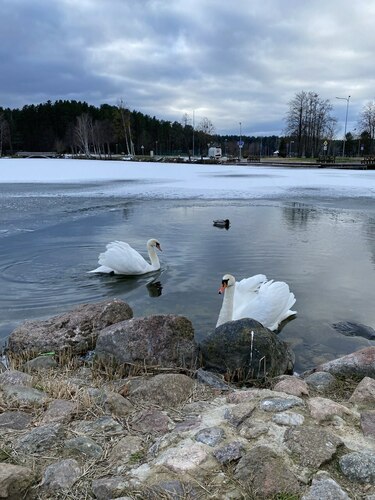 hematon's Identifications · iNaturalist