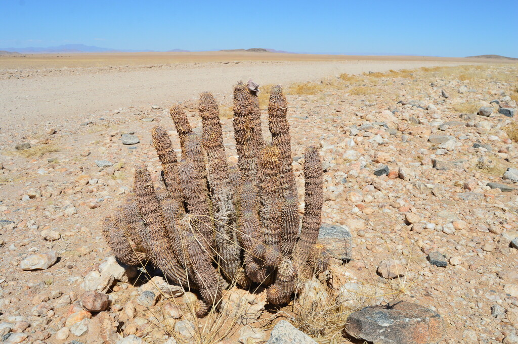 Ghaap from Erongo Region, Namibia on March 11, 2023 at 03:27 PM by ...