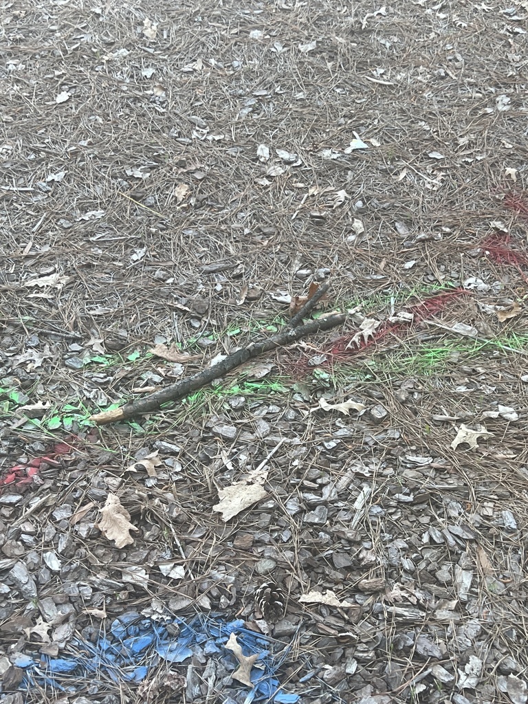 Something from NC State University, Raleigh, NC, US on March 19, 2023 ...