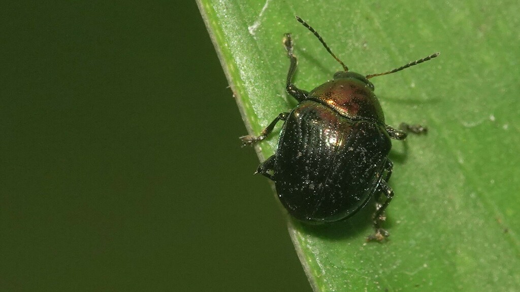 Nodina from XRHM+CR5, Byculla East, Byculla, Mumbai, Maharashtra 400027 ...