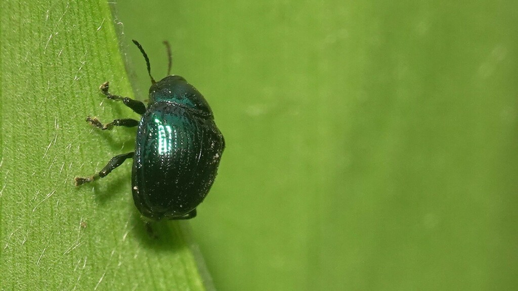 Nodina from XRHM+CR5, Byculla East, Byculla, Mumbai, Maharashtra 400027 ...