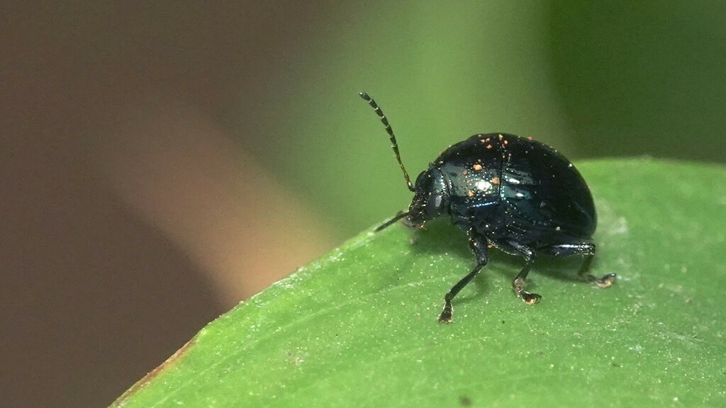 Nodina from XRHM+CR5, Byculla East, Byculla, Mumbai, Maharashtra 400027 ...