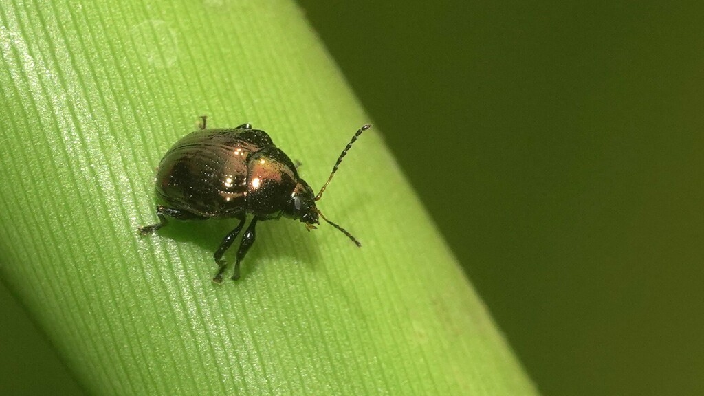 Nodina from XRHM+CR5, Byculla East, Byculla, Mumbai, Maharashtra 400027 ...