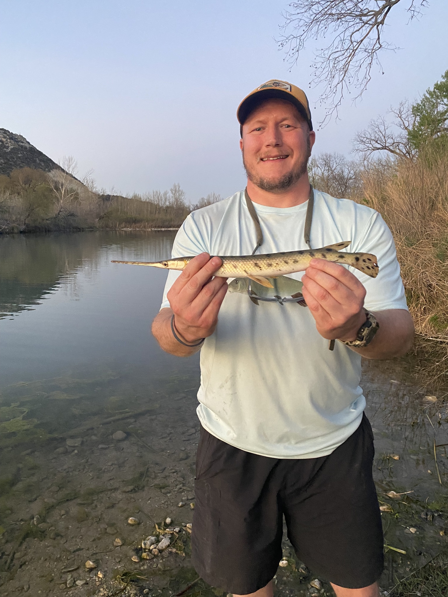 Lepisosteus osseus (Linnaeus, 1758)