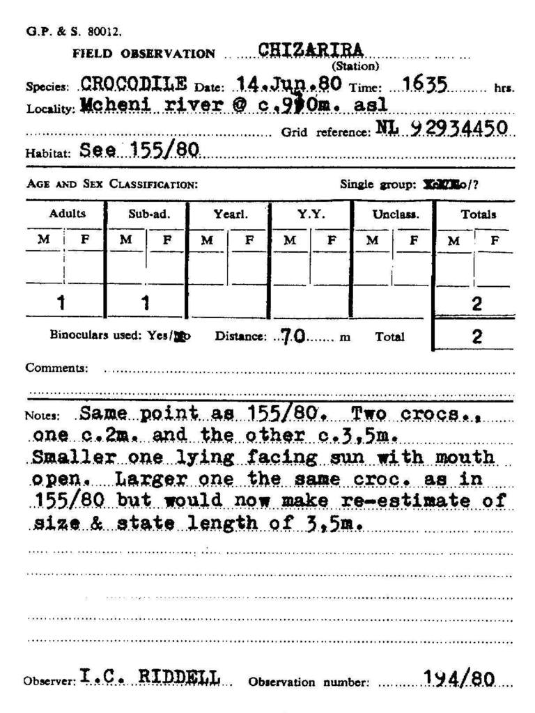 Nile Crocodile from Chizarira National Park on June 14, 1980 at 04:35 ...
