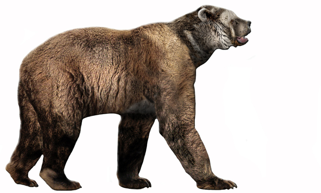 Giant Short-faced Bear (Arctodus simus) - Know Your Mammals