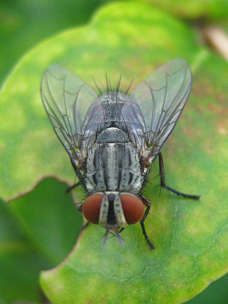 Satellite Flies from Kendall, FL, USA on January 23, 2011 at 02:29 PM ...