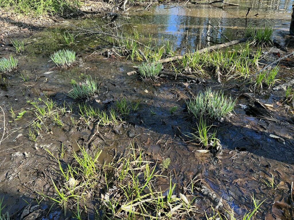 Water Ribbons from United States on April 17, 2023 at 04:11 AM by rem ...