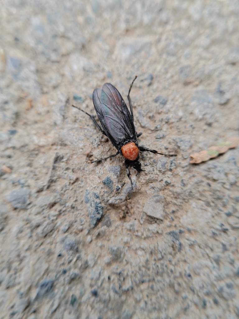 March flies from Beijing, Beijing, China on April 22, 2023 at 02:30 PM ...