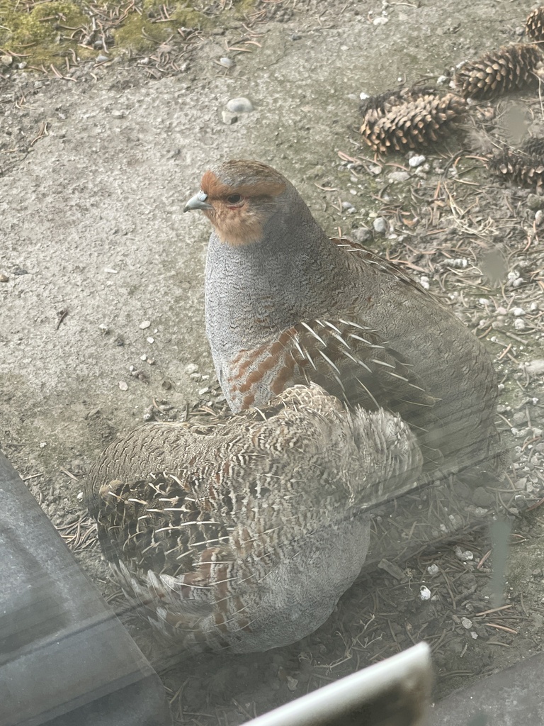 Gray Partridge from University of Calgary, Calgary, AB, CA on April 24 ...