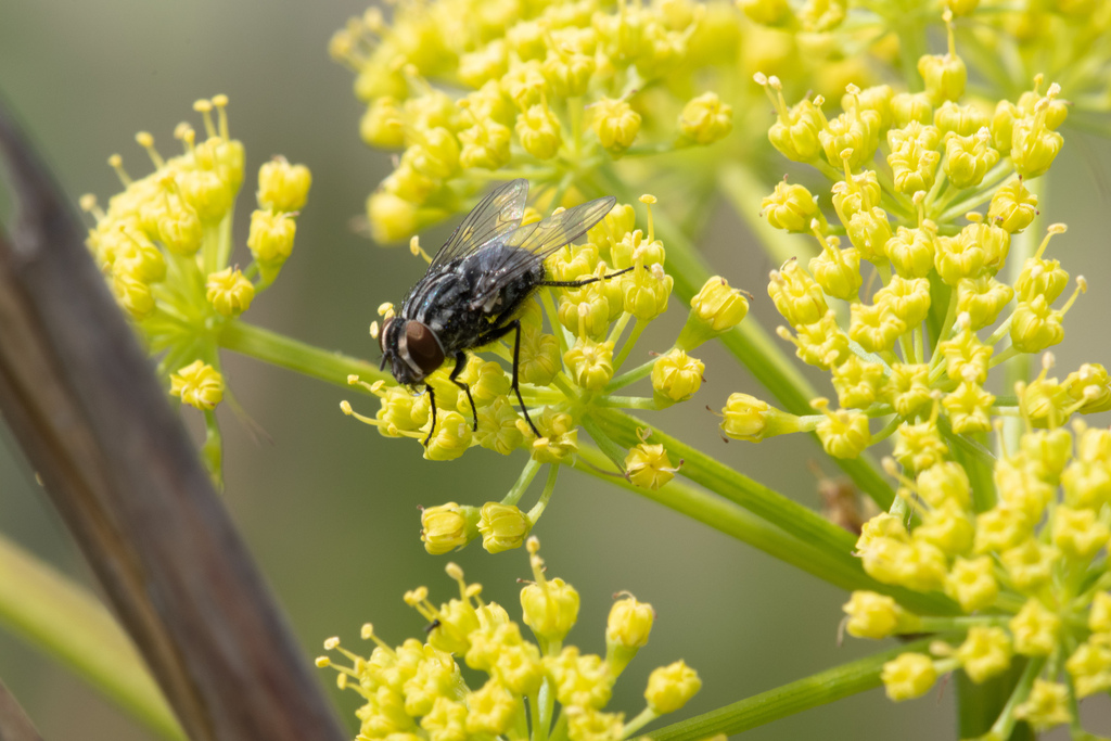 Graphomya from Lewisville, TX, USA on April 24, 2023 at 03:24 PM by ...