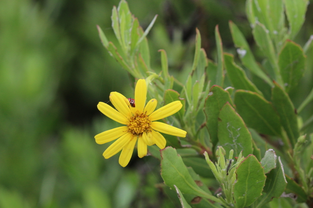 Bietou from Bellville, Cape Town, South Africa on April 24, 2023 at 12: ...