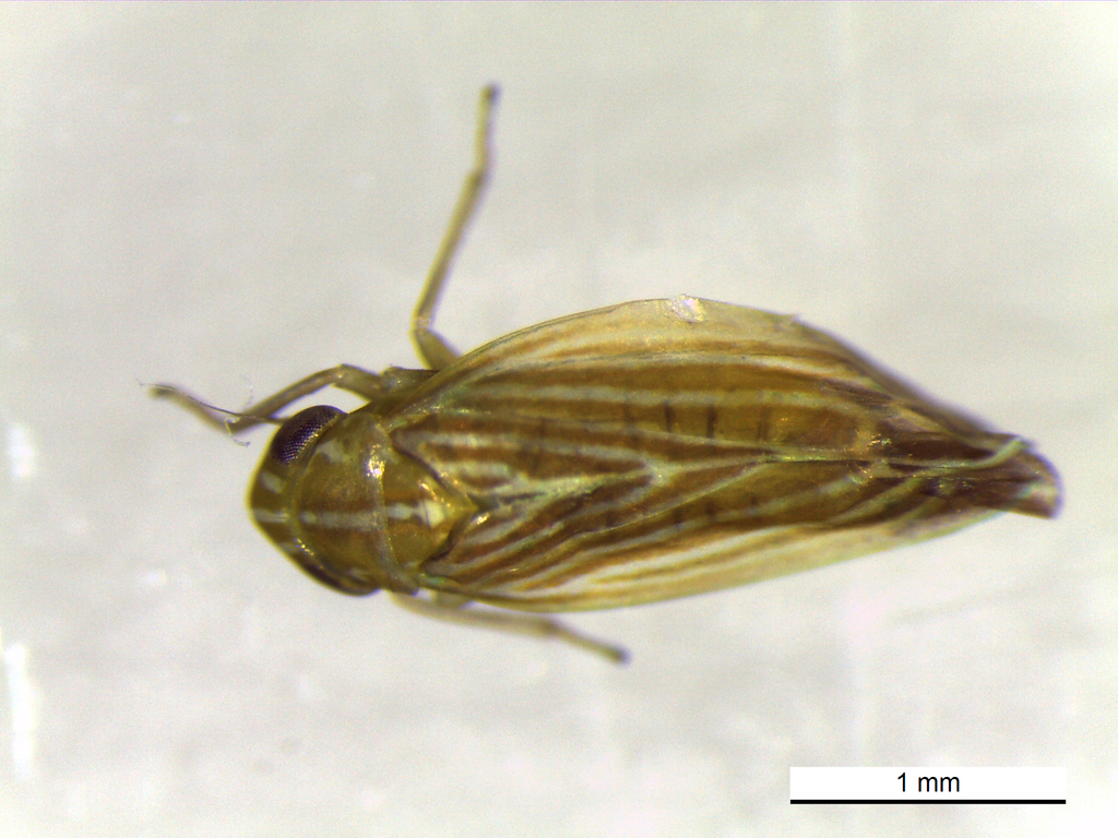 Hebata from University Place, Houston, TX, USA on April 25, 2023 at 10: ...