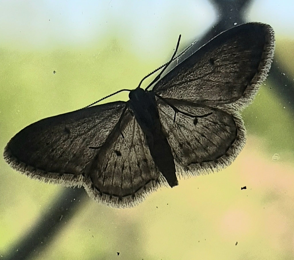 Small Dusty Wave from Chartrettes on April 28, 2023 at 05:10 PM by Eric ...