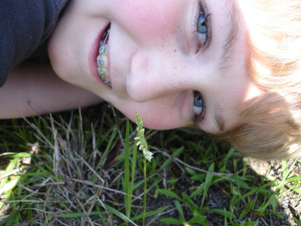 Texas Ladies-tresses in April 2007 by Eric Keith · iNaturalist