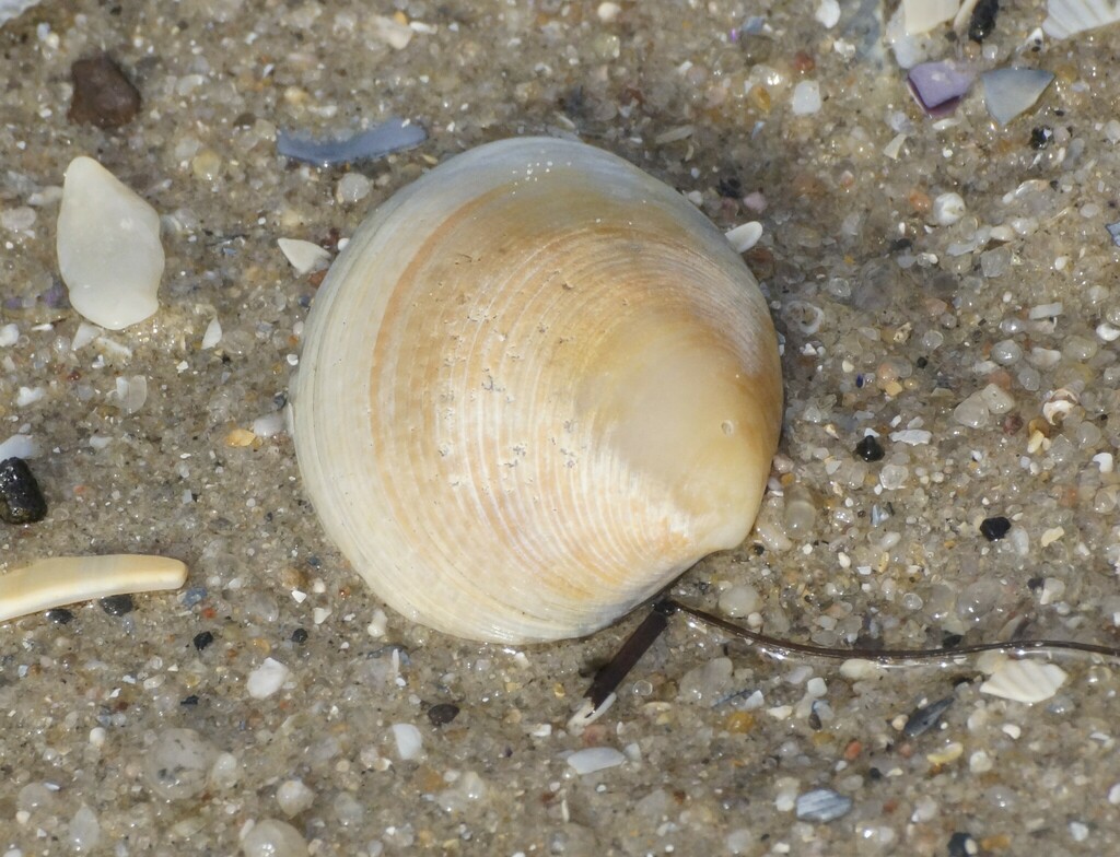 Katelysia from Geelong VIC, Australia on April 28, 2023 at 10:40 AM by ...