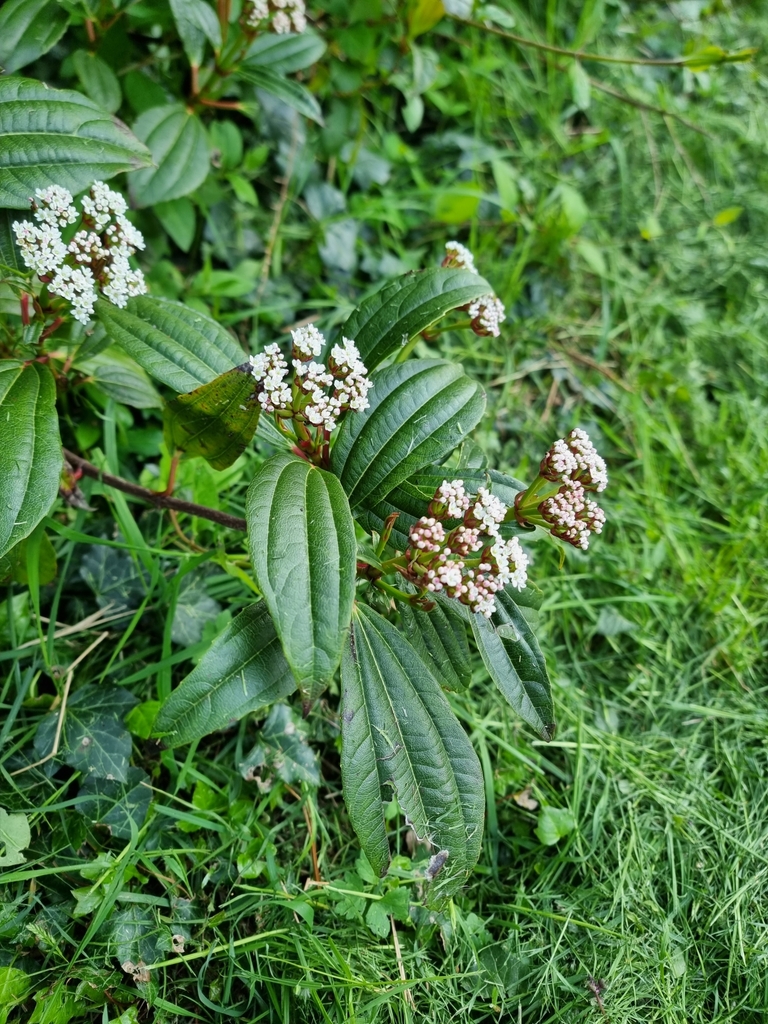 David Viburnum from London W10 5AY, UK on May 03, 2023 at 07:34 PM by ...