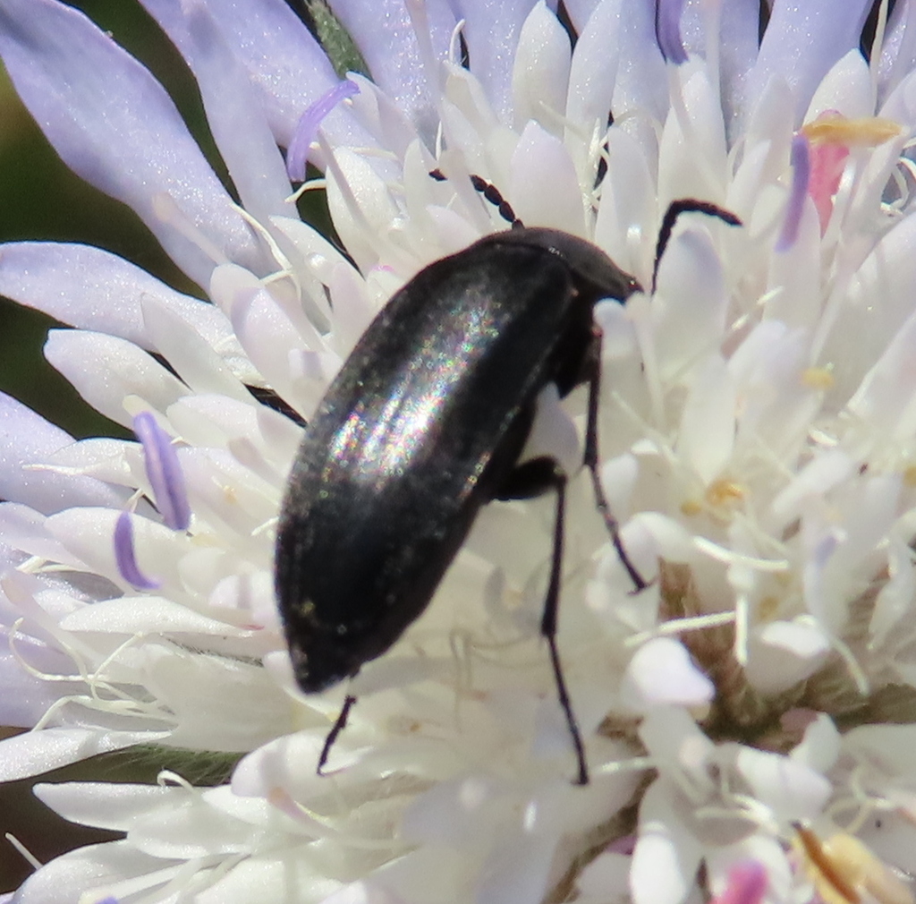 Podonta from Peloponnese Region, Greece on May 04, 2023 at 10:17 AM by ...