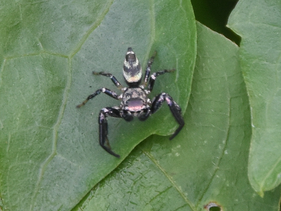 Metallic blue jumper from 烏蛟騰 on April 28, 2023 at 09:47 AM by Jan Ho ...