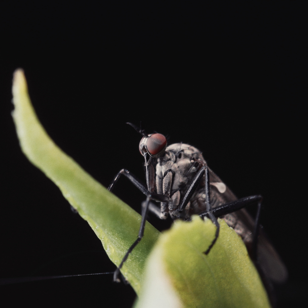 Balloon Flies from Tonghua, CN-JL, CN on May 6, 2023 at 09:54 AM by ...