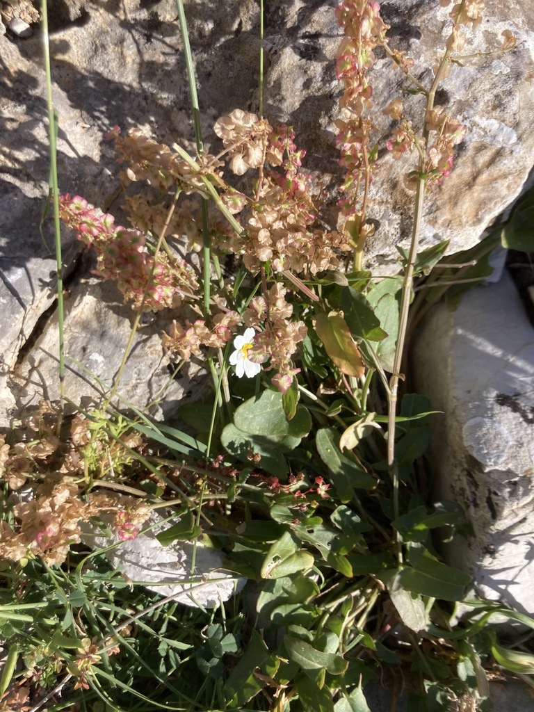 Cretan Dock from Rhodos, Atavyros, South Aegean, GR on May 8, 2023 at ...