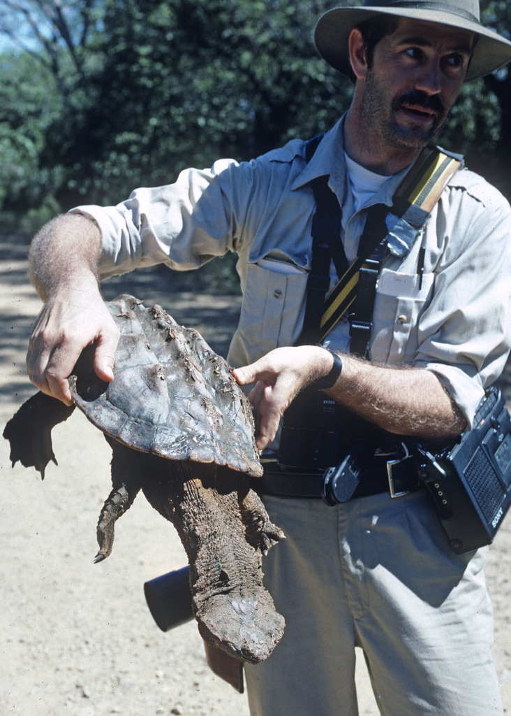 Orinoco Mata Mata from Hato El Pinero, Venezuela on December 14, 1987 ...