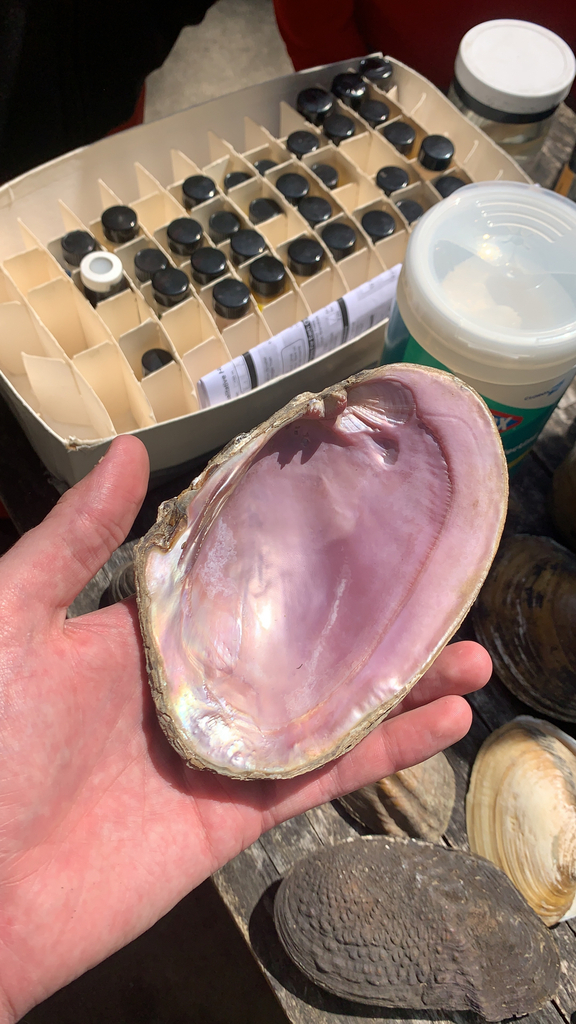 Pink Heelsplitter from Brooklyn on May 15, 2023 at 11:22 AM by thaven ...