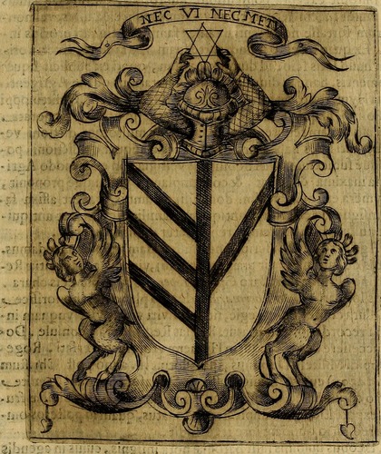 Chara rudis · iNaturalist Mexico