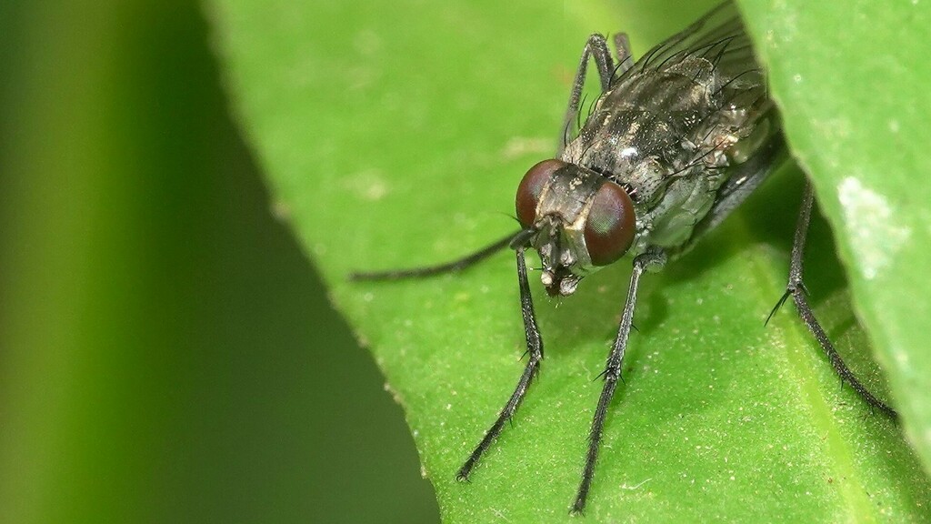 Lispe from Goregaon, Mumbai, Maharashtra, India on April 27, 2023 at 09 ...