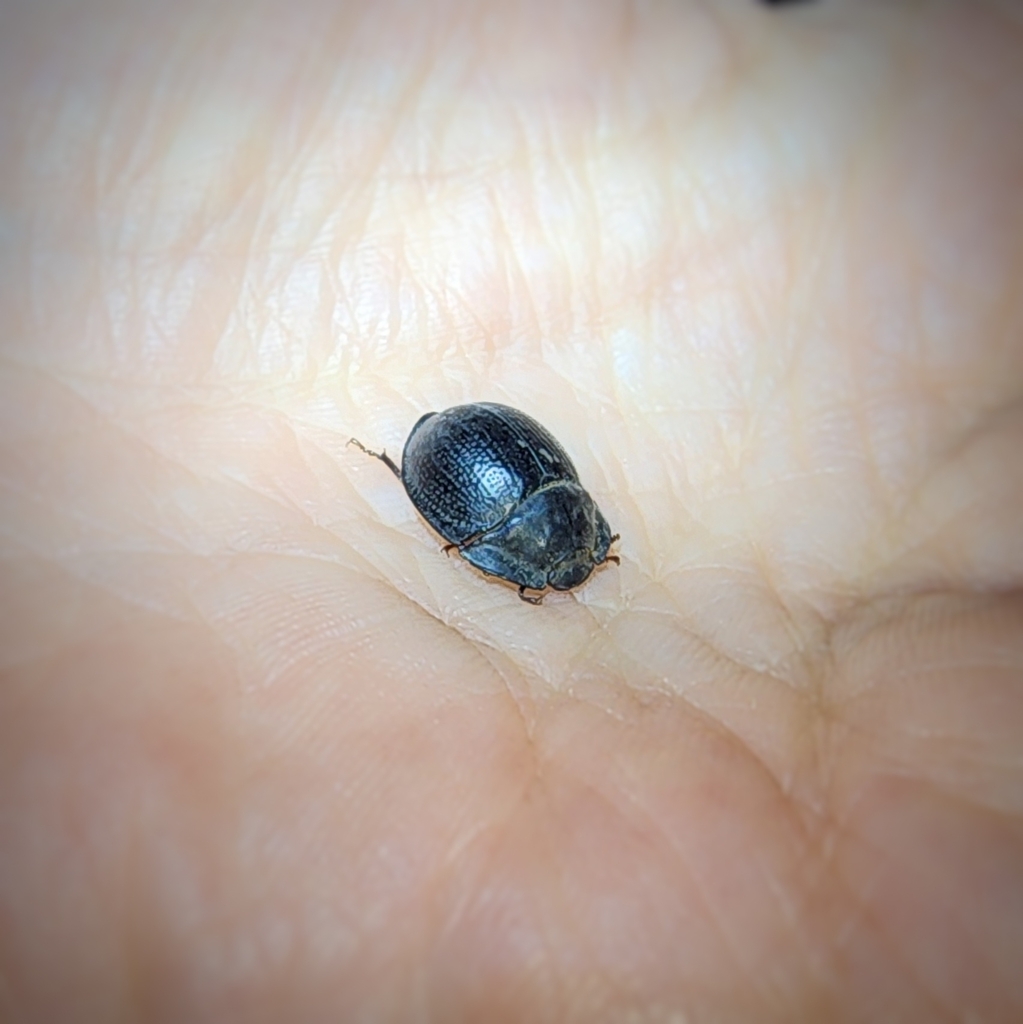Heleina from WA 6707 Cape Range OBCG-S on April 24, 2023 at 08:58 PM by ...
