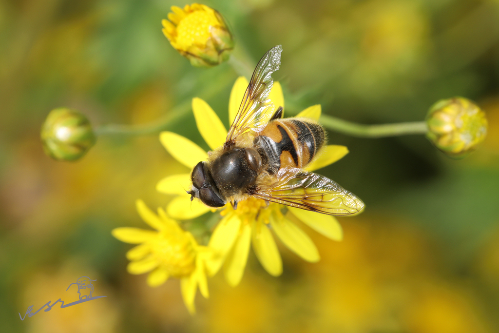 Common Drone Fly from 中国北京市海淀区北太平庄 邮政编码: 100088 on October 14, 2022 at ...